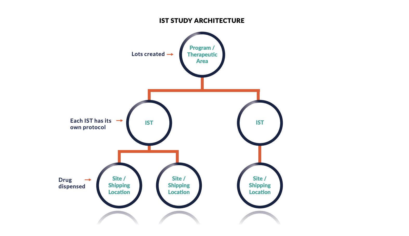 Top 6 Benefits of Leveraging an RTSM for Investigator Initiated Trials ...